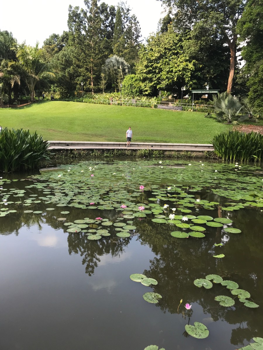 Singapore – All Options Considered