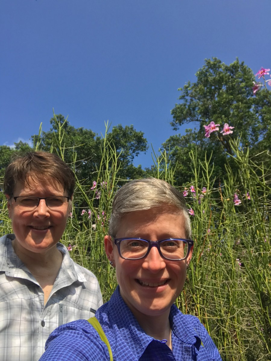 Singapore – All Options Considered