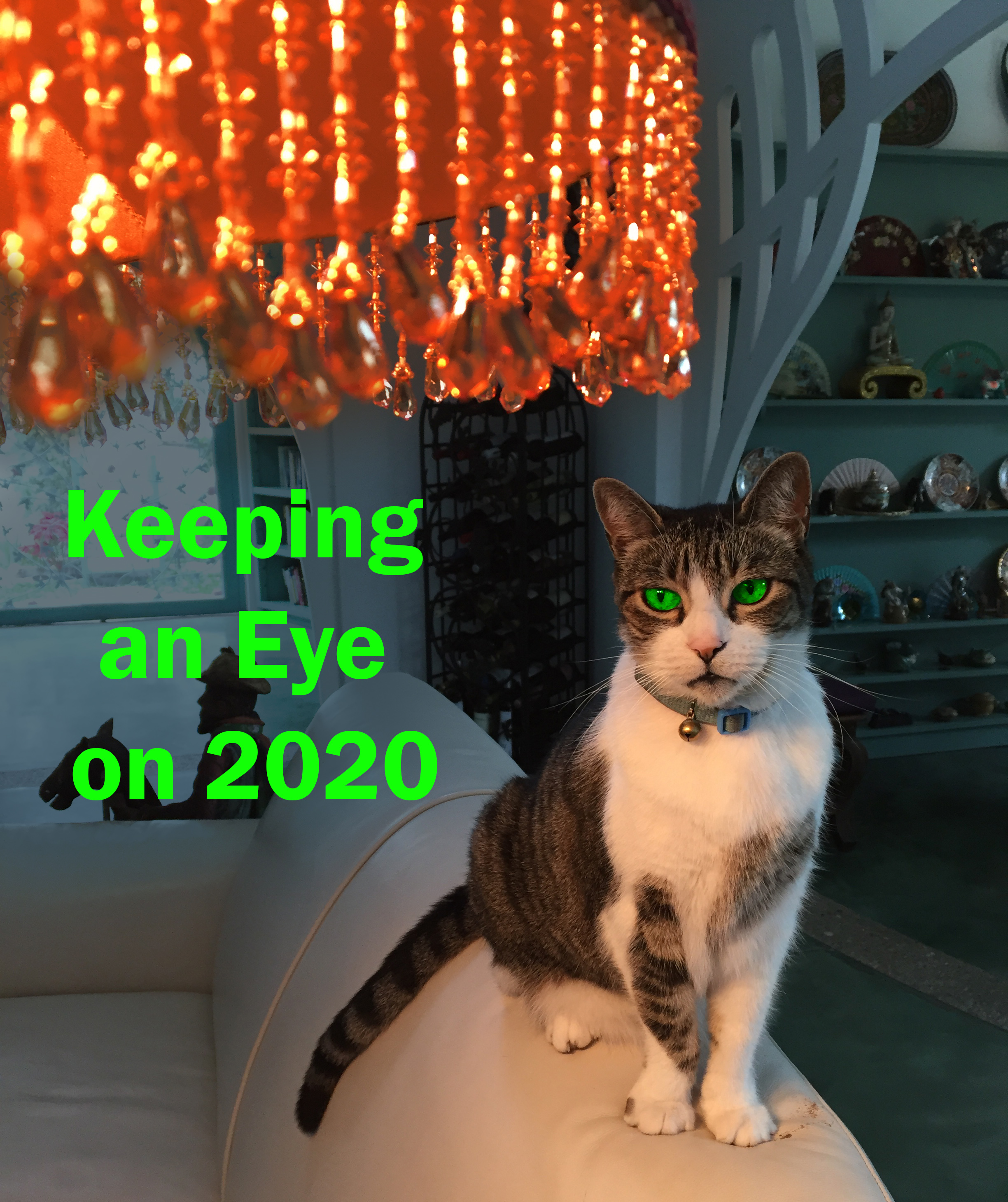 2019 Portfolio Report – All Options Considered